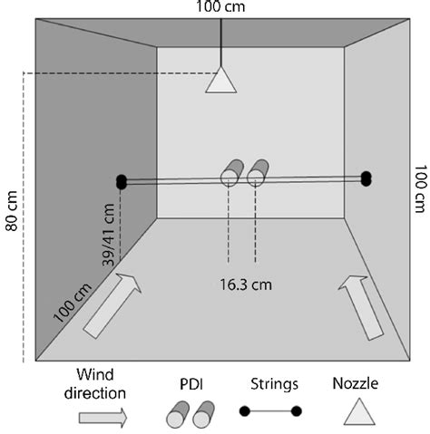 Schematic Of Tunnel Set Up Download Scientific Diagram