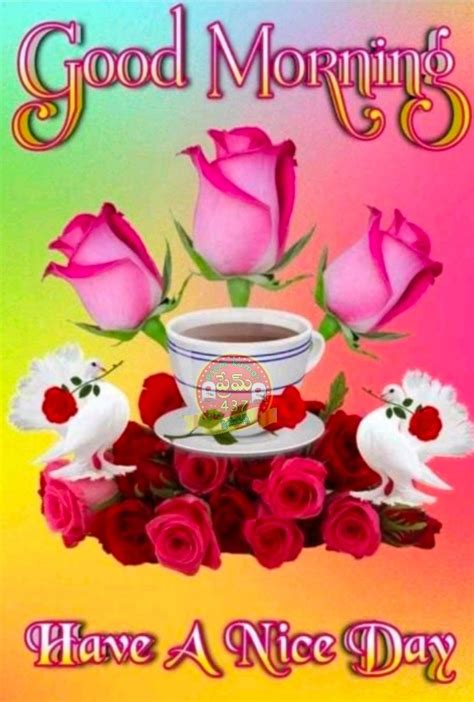 26 Good Morning Two Cute Eggs 🥚 ☕️ Ideas Cute Good Morning Good Morning  Good Morning