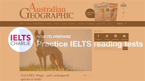 Mastering Ielts Reading Expert Tips