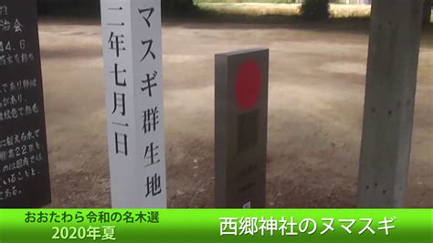 大田原名木2020年夏研修用令和の樹木季臨 那須塩原インターネットテレビレディオアクアス
