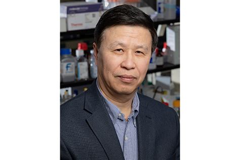 New Faculty Spotlight Ning Wang Department Of Bioengineering