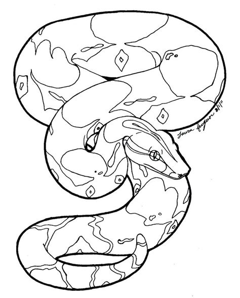 Boa Constrictor Drawing Free Download On Clipartmag