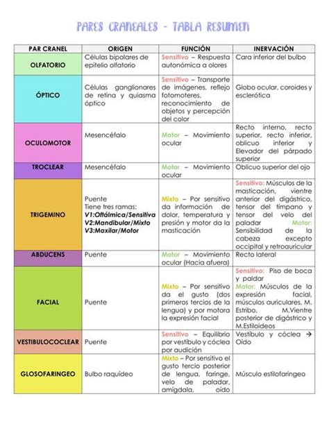 Tabla De Funciones De Los Nervios Craneales Tabla De Funciones De Los Nervios Craneales