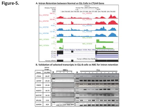 Selection And Validation Of Transcripts For Intron Retention Using