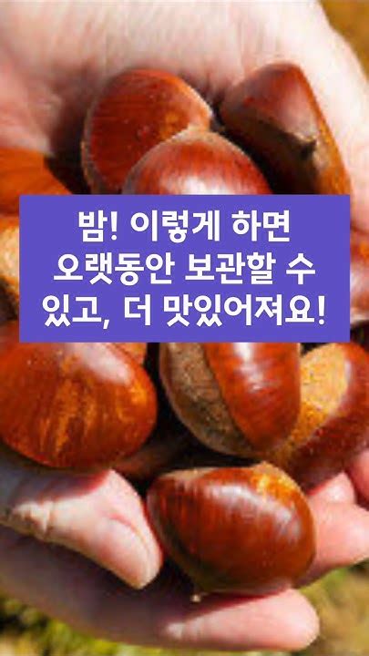 밤은 이렇게 보관하세요 벌레 없이 오래 보관할수 있고 맛도 좋아져요 Youtube