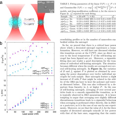 A Scheme Of The Optically Trapped Microgel Decorated With Iron Oxide Download Scientific