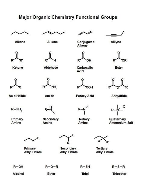 Major Functional Groups Skeletal Structures Organicchemistry Organic Chemistry Chemistry