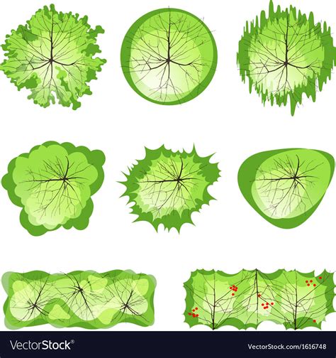 Trees For Landscape Designs Royalty Free Vector Image