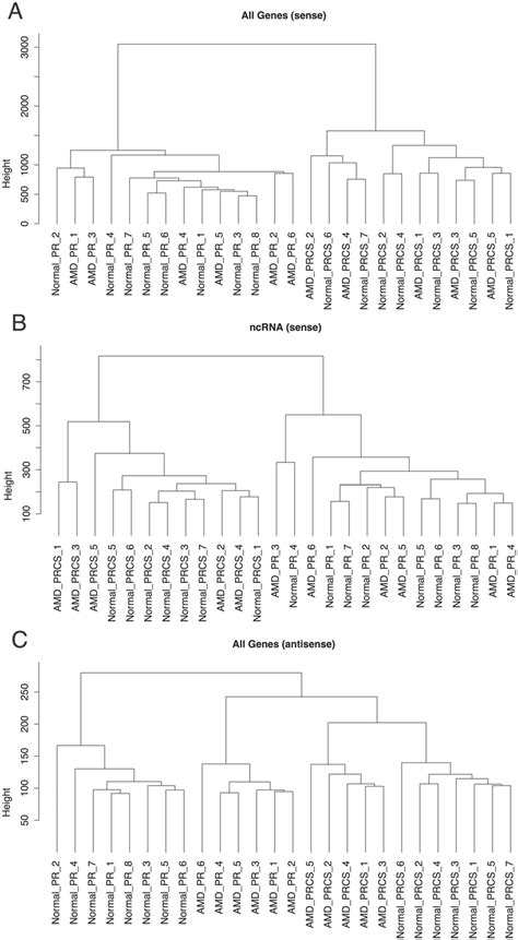 Hierarchical Clustering Of Genes Across Samples A Clustering Of Download Scientific