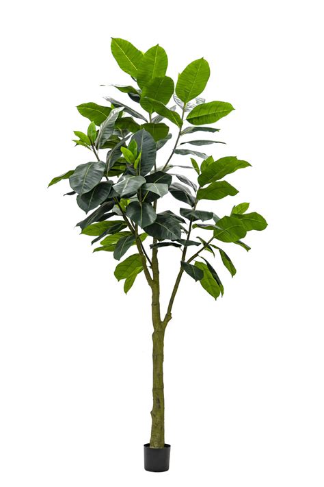 Artificial Ficus Elastica Abidjan 300cm Green