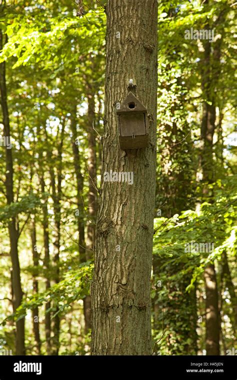 Nesting Box Trunk Stock Photo Alamy