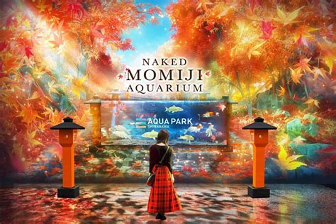 マクセル アクアパーク品川が艶やかな紅葉に染まるNAKED MOMIJI AQUARIUM開催中 Drive NIPPON