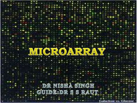 Role Of Nuclicacid Microarray Andprotein Micro Array For Drug Discovery Process Pptx