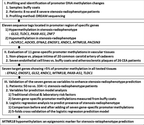 Flow Diagram For Profiling And Validating Gene Specific Promoter