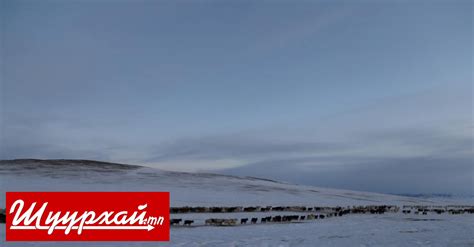 “Малын генетик нөөц” ийн тухай хууль батлагдав