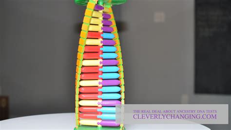 Back To Your Roots Facts You Need To Know About Ancestry DNA Tests Cleverly Changing