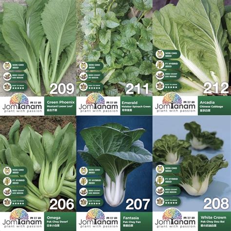 Biji Benih Jom Tanam Biji Benih Sayuran Benih Pakchoy Benih Sawi Benih Bayam Benih