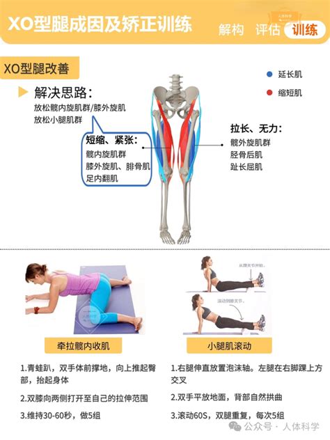 XO型腿成因评估矫正思路分析 知乎