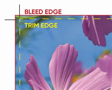 What Is Bleed In Printing Find Out What It Means Here