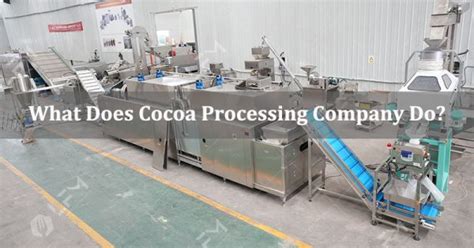 What Does Cocoa Processing Company Do Cocoa Machinery