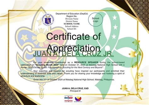 Certificate Of Appreciation For Bsp And Gsp Pptx