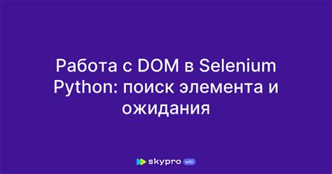 Работа с Dom в Selenium Python поиск элемента и ожидания