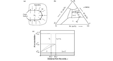 Schematic Diagrams Of A The Oxidation Diffusion Processes At The Download Scientific Diagram