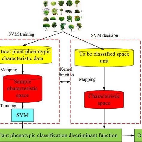 Flow Chart Of Support Vector Machine Svm Download Scientific Diagram