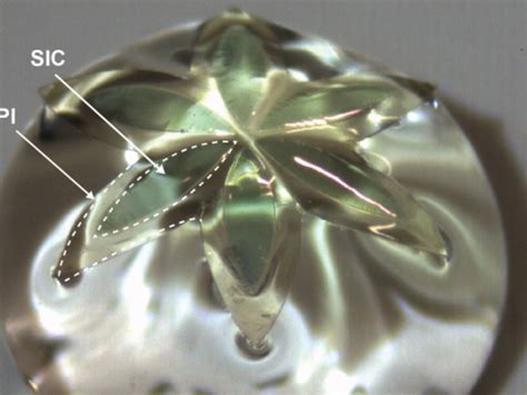 Researchers Discover New Way To Fabricate Stretchable Electronics