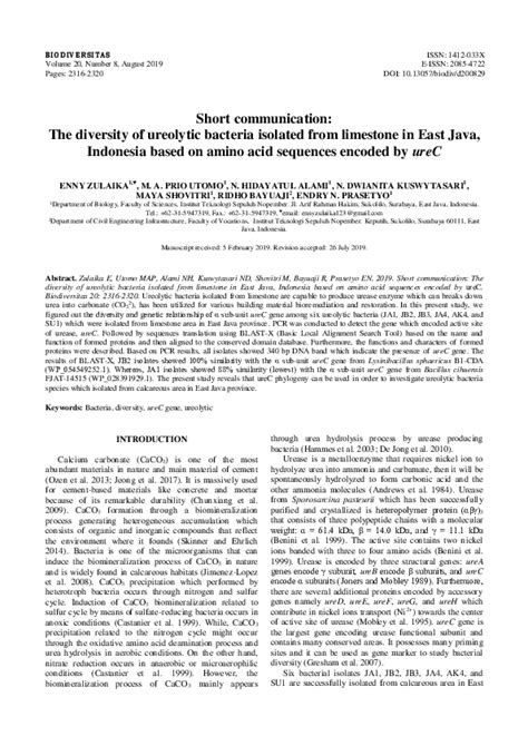 Pdf Short Communication The Diversity Of Ureolytic Bacteria Isolated