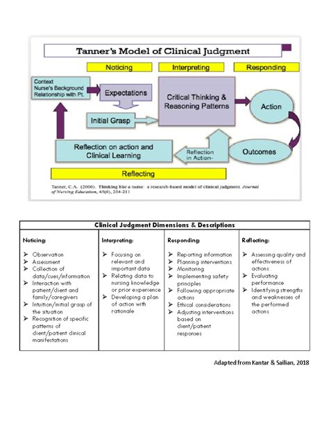 Tanners Clinical Judgment Model And Descriptions Clinical Judgment Dimensions And Descriptions