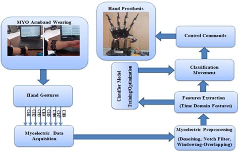 Proposed Methodology Download Scientific Diagram