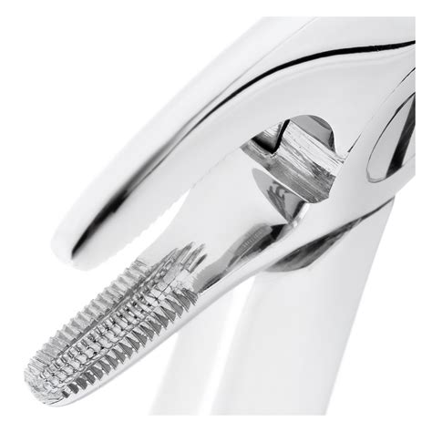 Щипцы извлекающие корневые для нижней челюсти №33 — купить в ...