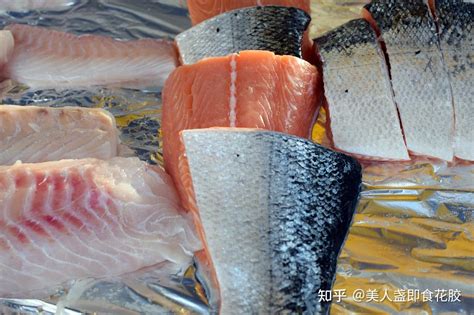 鱼鱼浑身都是宝尤其胶原蛋白不能少但是鱼肉加工行业浪费惊人为哪般 知乎