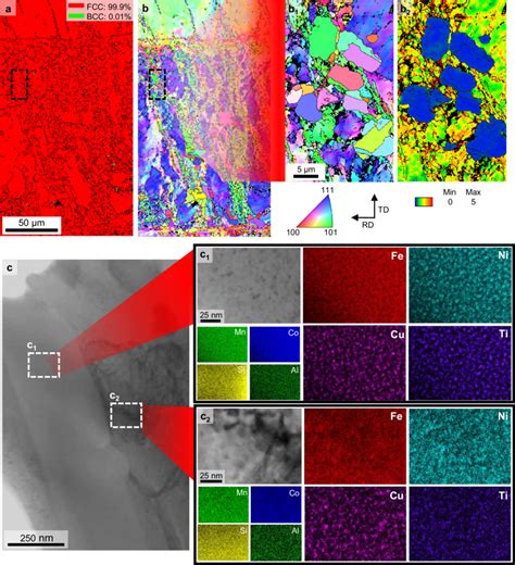 Compositional Heterogeneities Of The Femea Ebsd A Phase And B Ipf Download Scientific