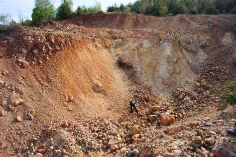 Безполезни изкопаеми Bodil Bg