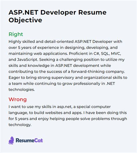 Top 17 ASP NET Developer Resume Objective Examples