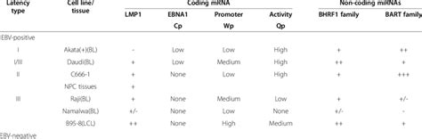 Characterization Of Ebv Coding And Noncoding Transcripts In Cells And Download Table