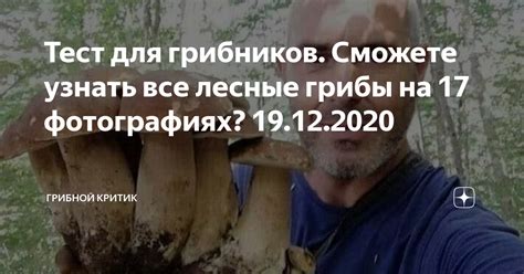 Тест для грибников Сможете узнать все лесные грибы на 17 фотографиях 19 12 2020 грибной