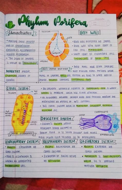 Notes Learn Biology Biology Notes Study Biology