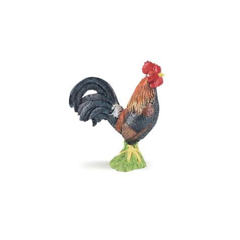 გალური მამალი