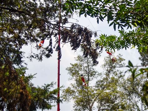 El Ritual De Los Voladores Oncubanews