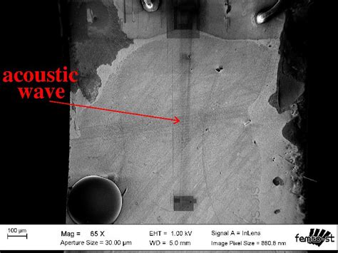 General View Of He Acoustic Delay Line With The Interdigitated Download Scientific Diagram