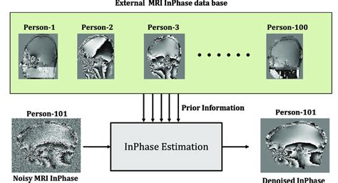 Illustration Of Class Specific Inphase Estimation Download
