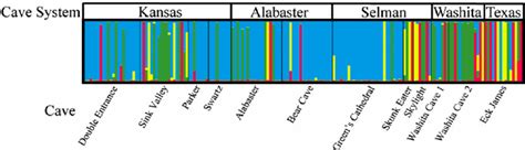 Results Of The Bayesian Clustering Analysis Implemented In Structure