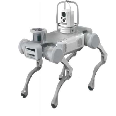 China Radioactive Detection Robot Lt Rotorne 200 Manufacturer And Supplier Topsky