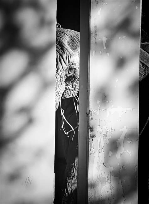 Hidden Problem Photos Download The Best Free Hidden Problem Stock