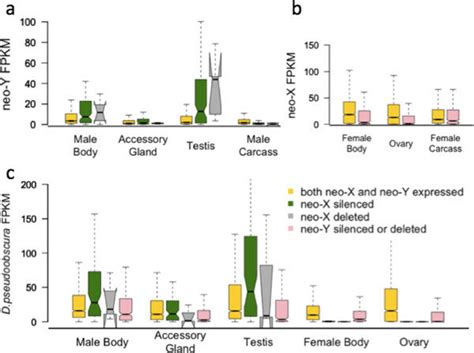 Transcript Abundance Fpkm For Different Classes Of Neo Sex Linked Download Scientific Diagram