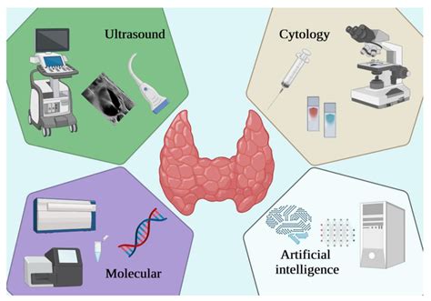 Putative Future Combined Approach For Correct Identification Of Download Scientific Diagram