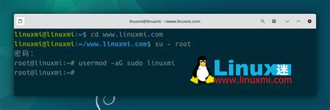 安装 debian 12 后有 10 件必做的事情 linux迷